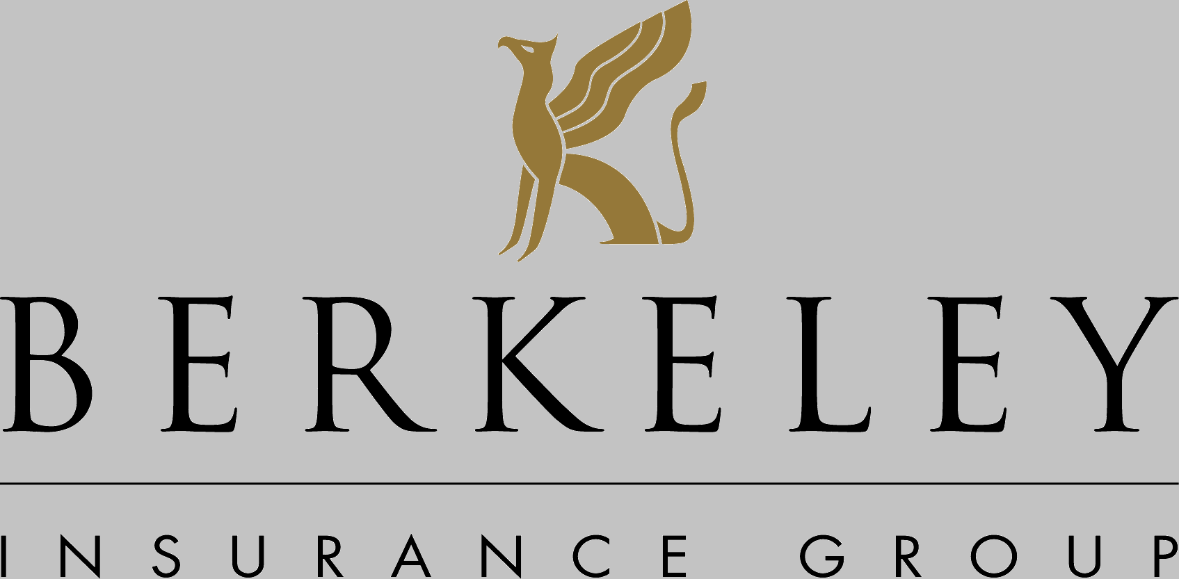 Our Strategic Business Partners | GM Active